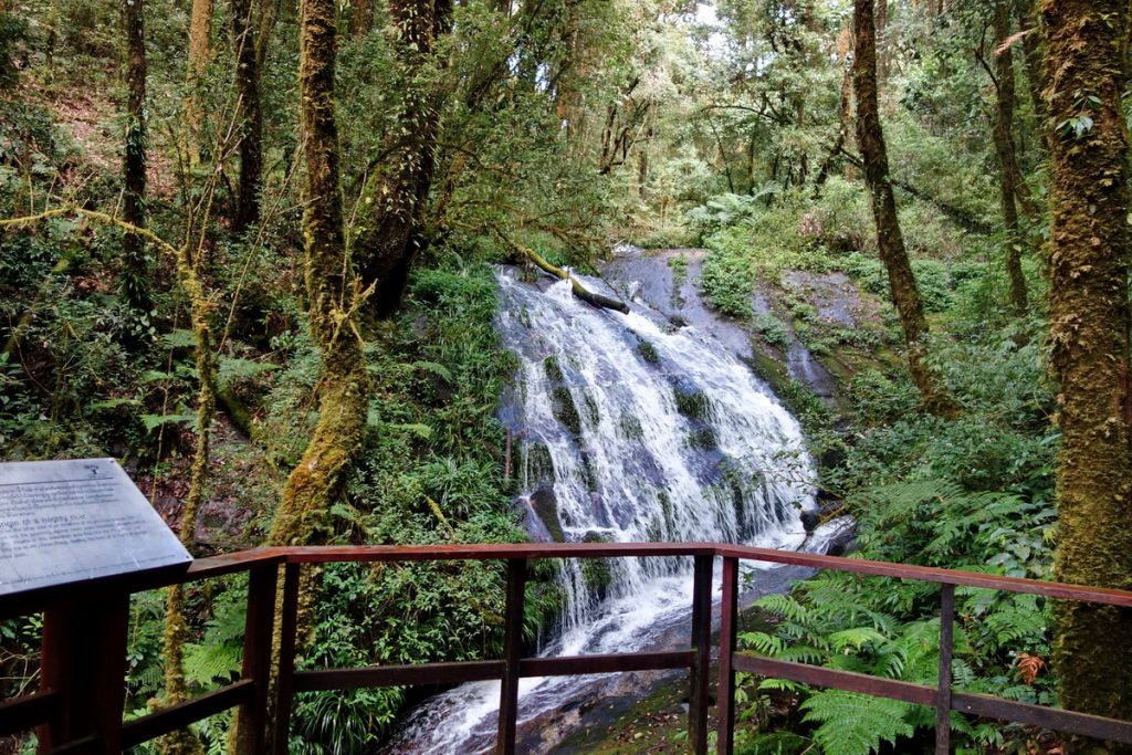 Kiew Mae Pan Nature Trail: A Hiker's Paradise