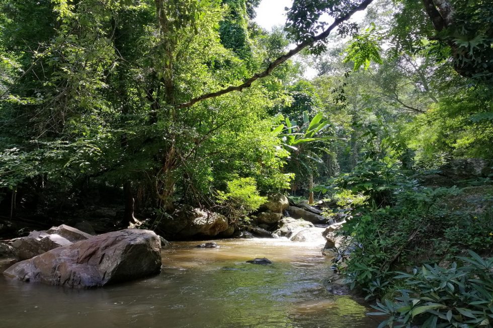 Maesa Waterfalls : Chiang Mai's Natural Paradise