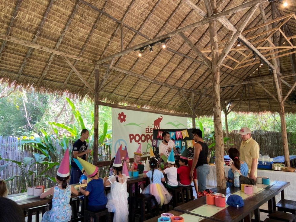 Elephant Poo Poo Paper Park: Recycle, Craft, and Enjoy